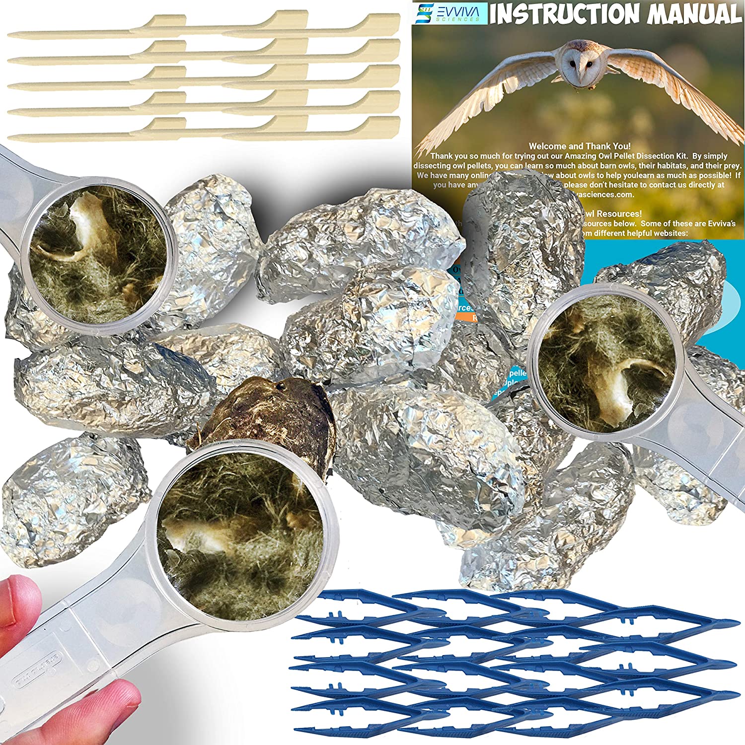 Great Science Ideas – Owl Pellet Dissection Lab Activity! – SPG Family ...