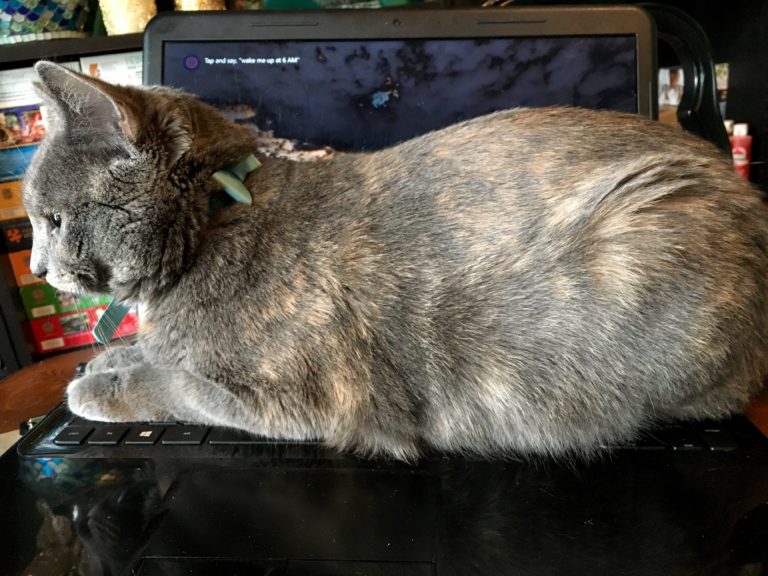 Los Muros De Burque: Totem of the Ancient Ones – Albuquerque, New ...