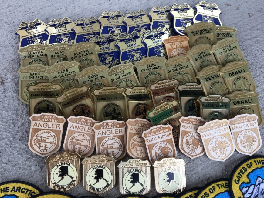NPS: Complete List of National Parks with Junior Ranger Programs – SPG ...