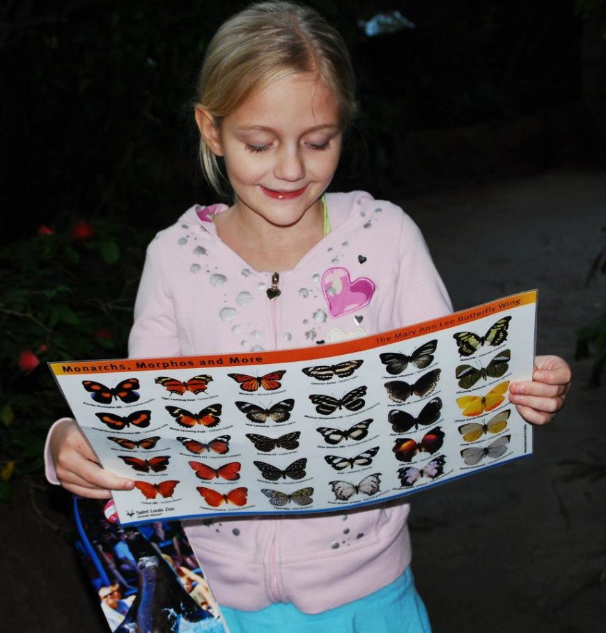 Monsanto Insectarium & Butterfly House at the Saint Louis Zoo – St ...