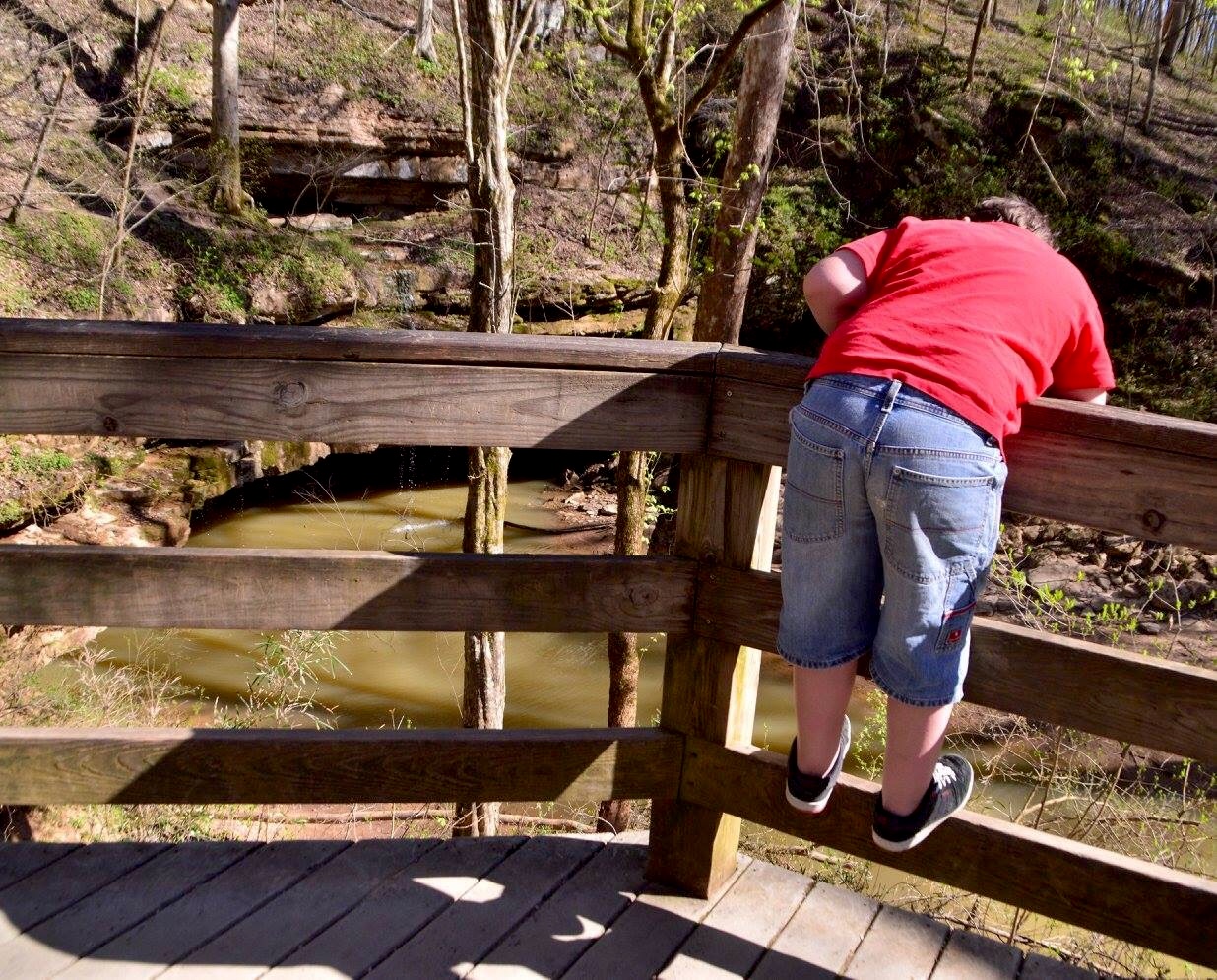 River Styx Spring Trail – Mammoth Cave National Park – Mammoth Cave ...