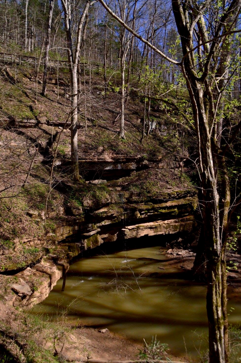 River Styx Spring Trail – Mammoth Cave National Park – Mammoth Cave ...