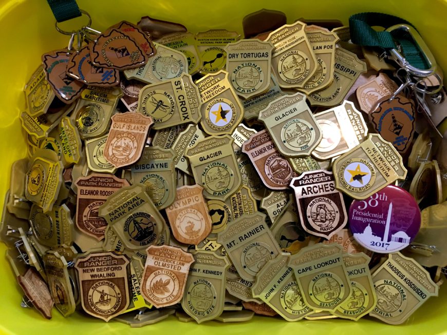 NPS: 350+ Direct Links to Download Junior Ranger Program Booklets So ...