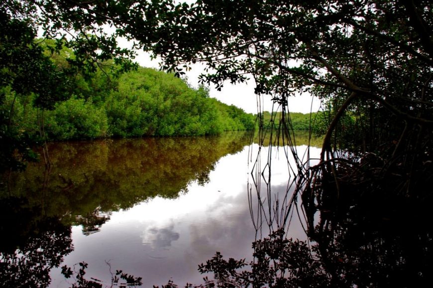 A Day in the Everglades – Everglades National Park – Homestead, Florida ...