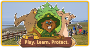 Washington State Park Junior Ranger Programs – SPG Family Adventure Network