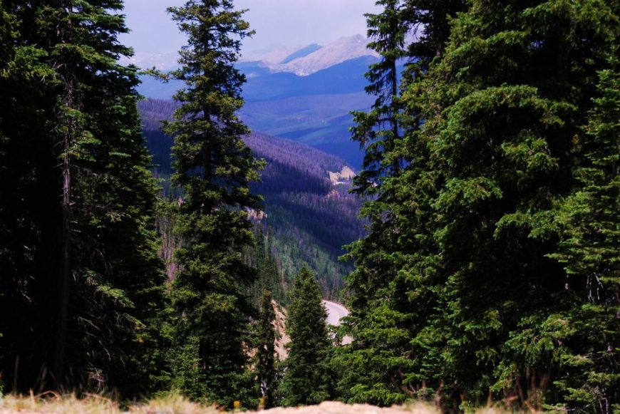 Berthoud Pass Along the Continental Divide – Arapaho National Forest ...