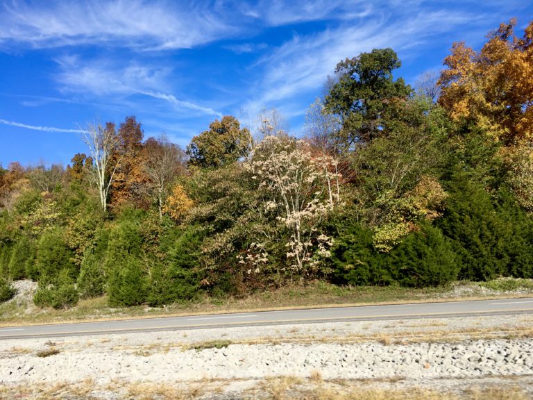 Los Muros De Burque: The Mother Road / El Camino de Los Caminos ...