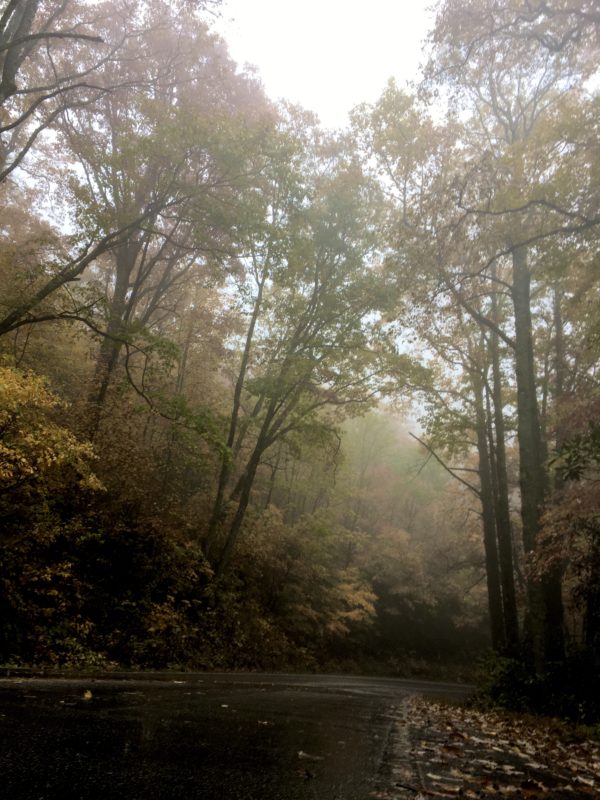 Autumn Fog – Osage Mountain – Nantahala National Forest – Highlands ...