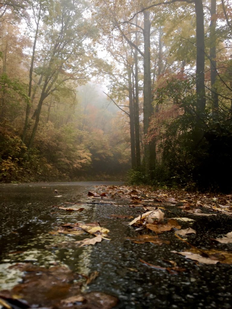 Autumn Fog – Osage Mountain – Nantahala National Forest – Highlands ...