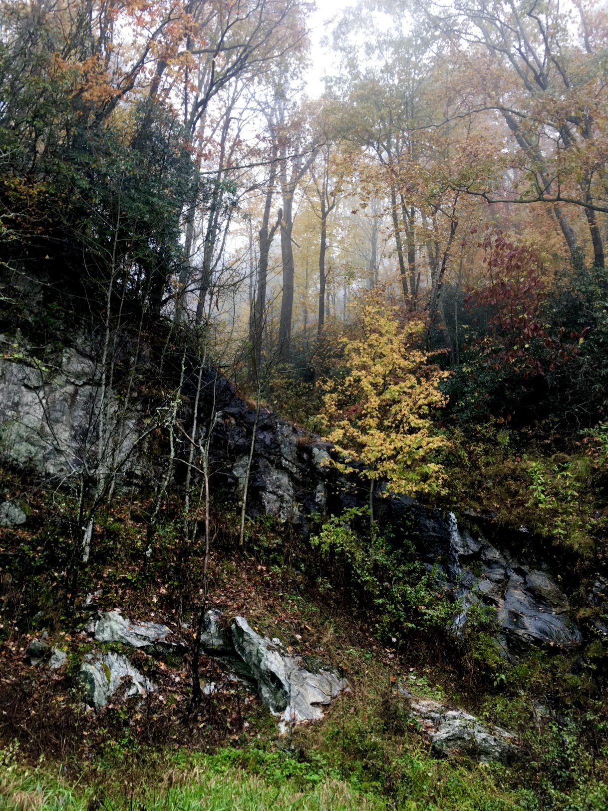 Autumn Fog – Osage Mountain – Nantahala National Forest – Highlands ...