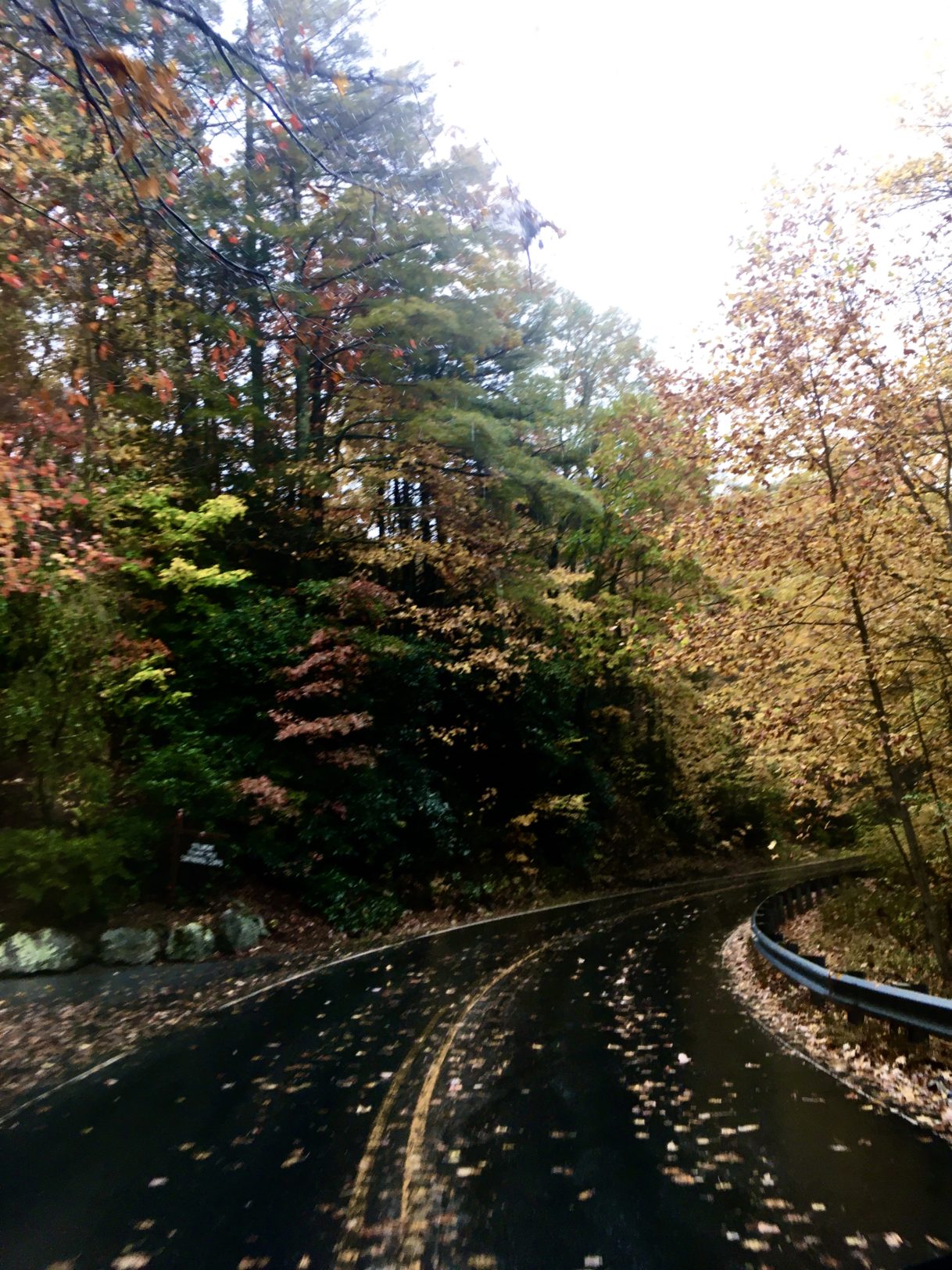 Autumn Fog – Osage Mountain – Nantahala National Forest – Highlands ...
