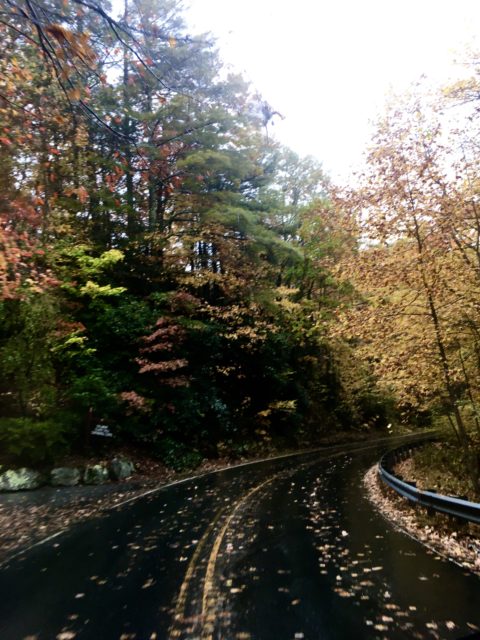 Autumn Fog – Osage Mountain – Nantahala National Forest – Highlands ...