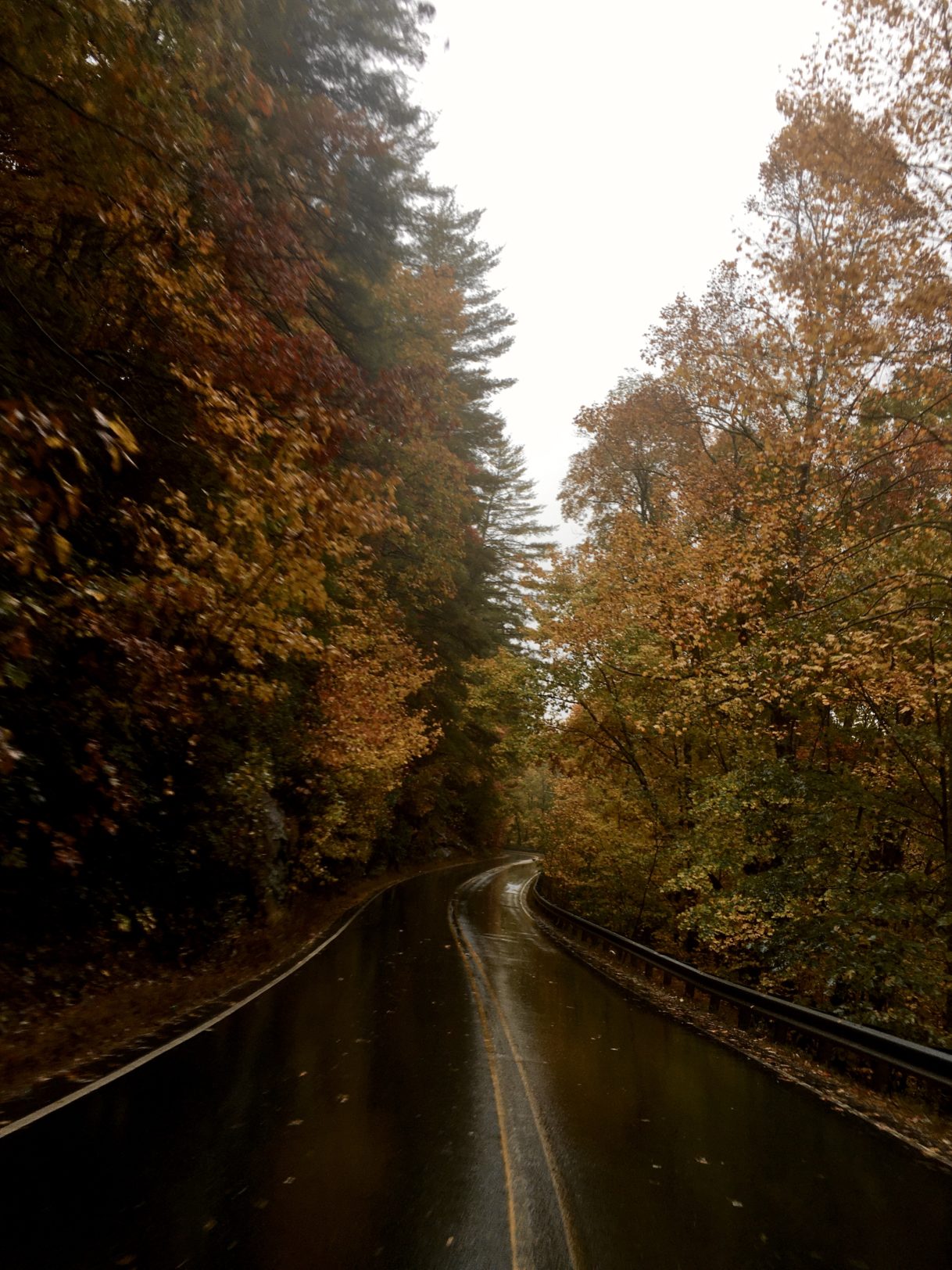 Autumn Fog – Osage Mountain – Nantahala National Forest – Highlands ...