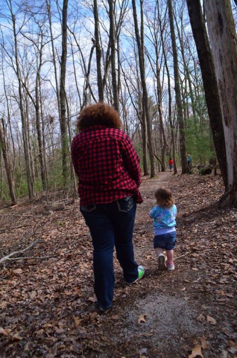 Bandy Creek Loop Trail – Big South Fork National River and Recreation ...