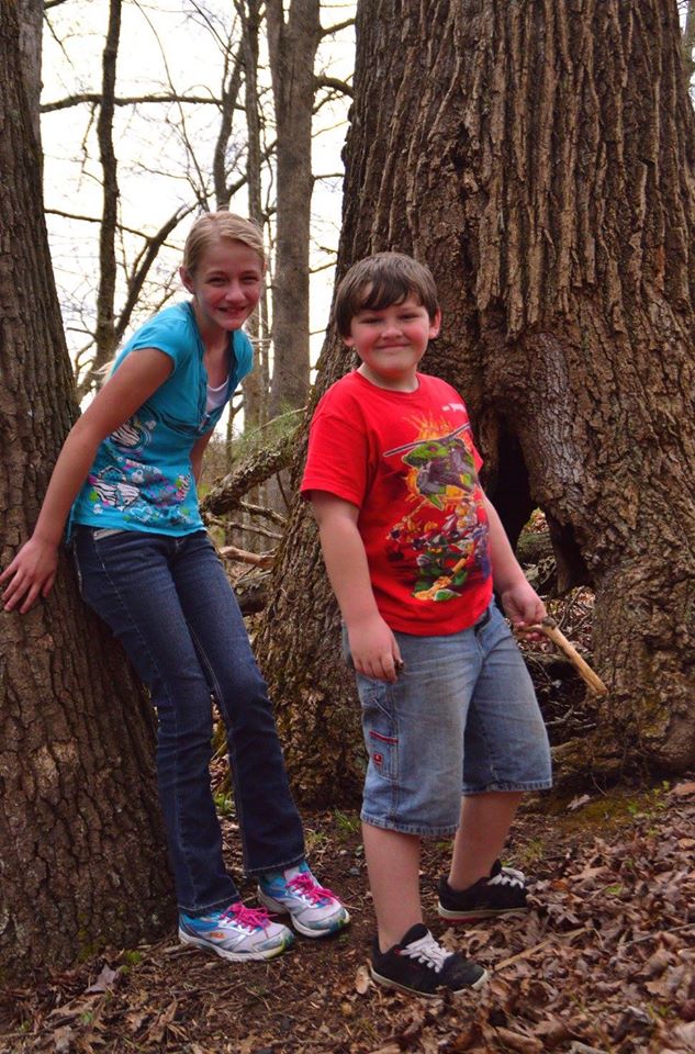 Bandy Creek Loop Trail – Big South Fork National River and Recreation ...