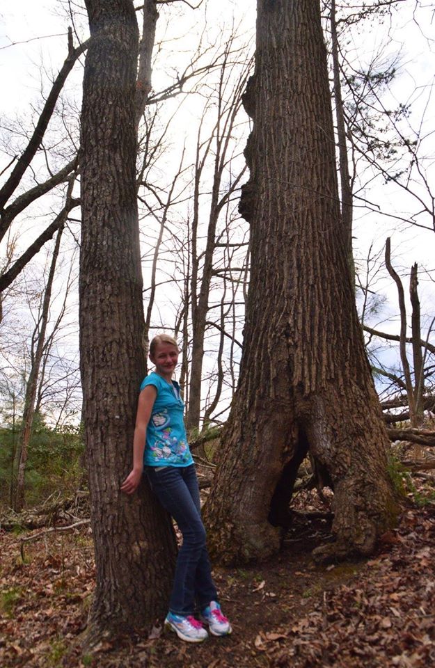 Bandy Creek Loop Trail – Big South Fork National River and Recreation ...