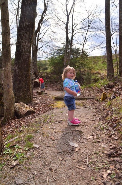 Bandy Creek Loop Trail – Big South Fork National River and Recreation ...
