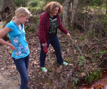 Bandy Creek Loop Trail – Big South Fork National River and Recreation ...