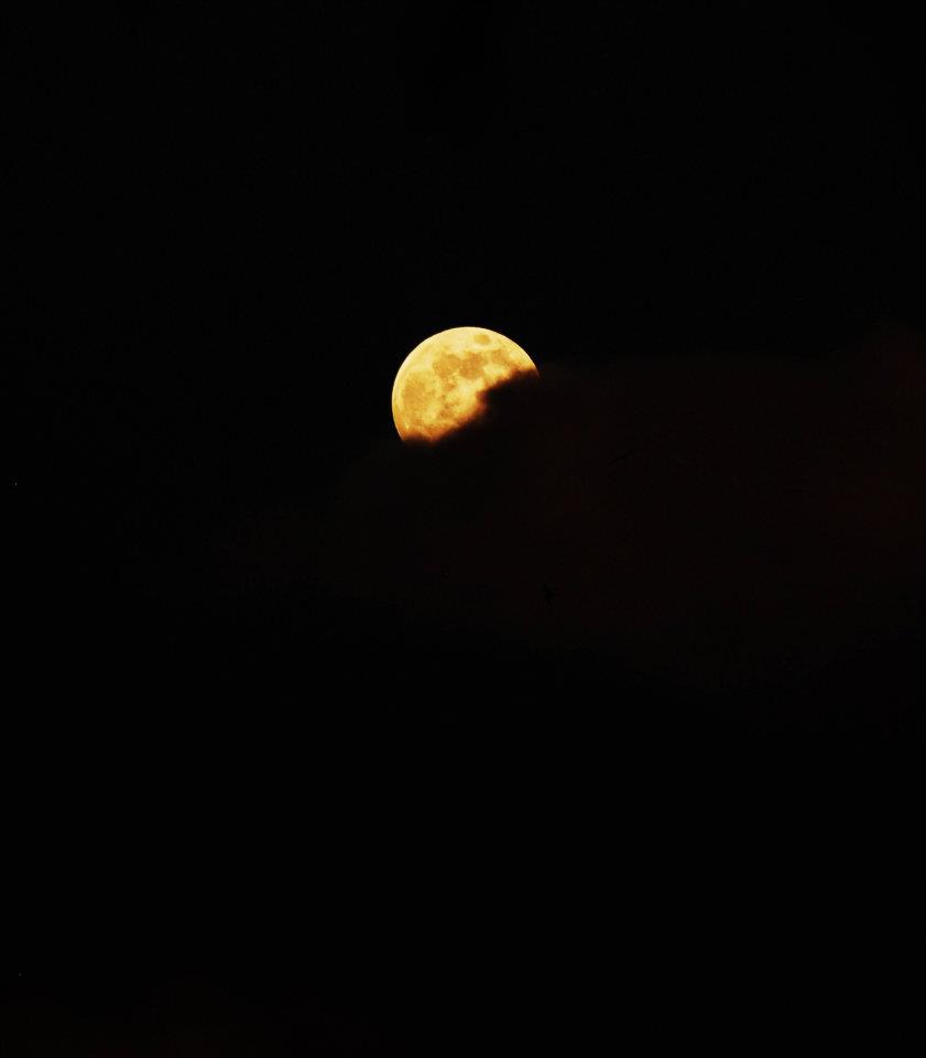 …The Full Moon Shall Rise – Dry Tortugas National Park – Dry Tortugas ...