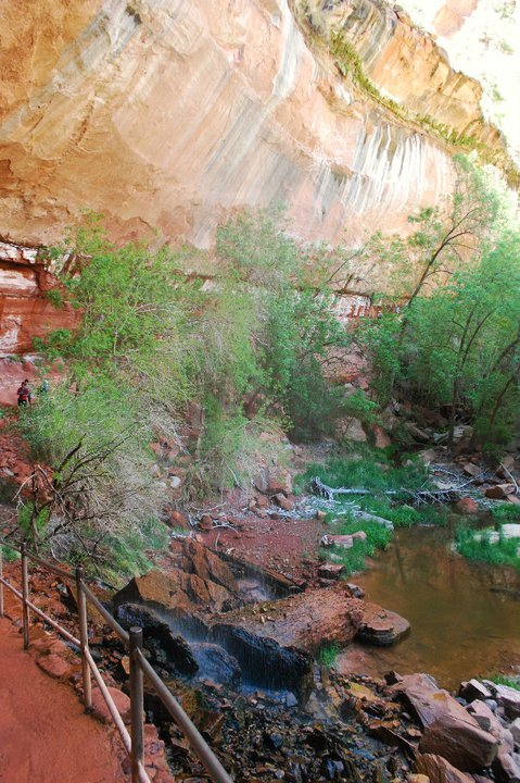 Lower Emerald Pool Along the Emerald Pools Trail – Zion National Park ...