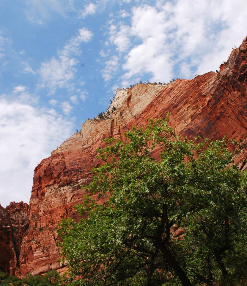 Zion Canyon Shuttle Bus – Zion National Park – Springdale, Utah – 07/04 ...