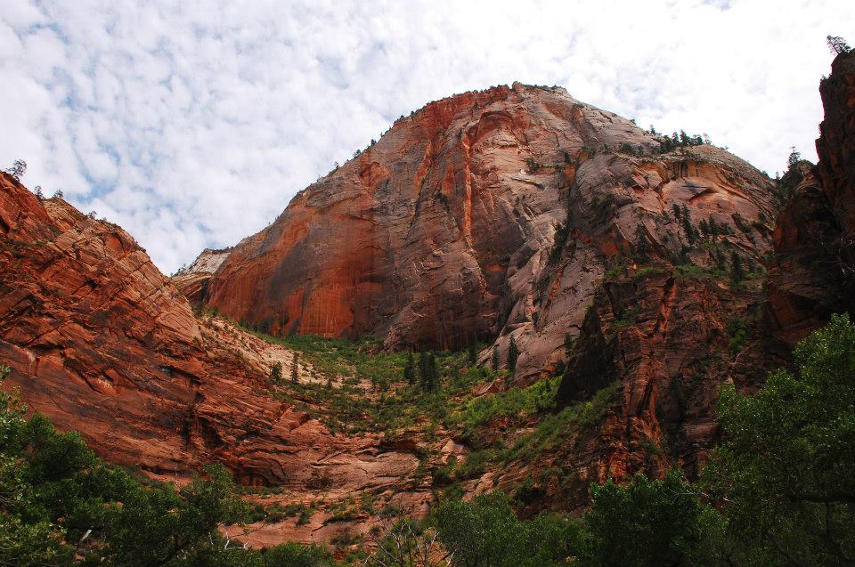 Zion Canyon Shuttle Bus – Zion National Park – Springdale, Utah – 07/04 ...