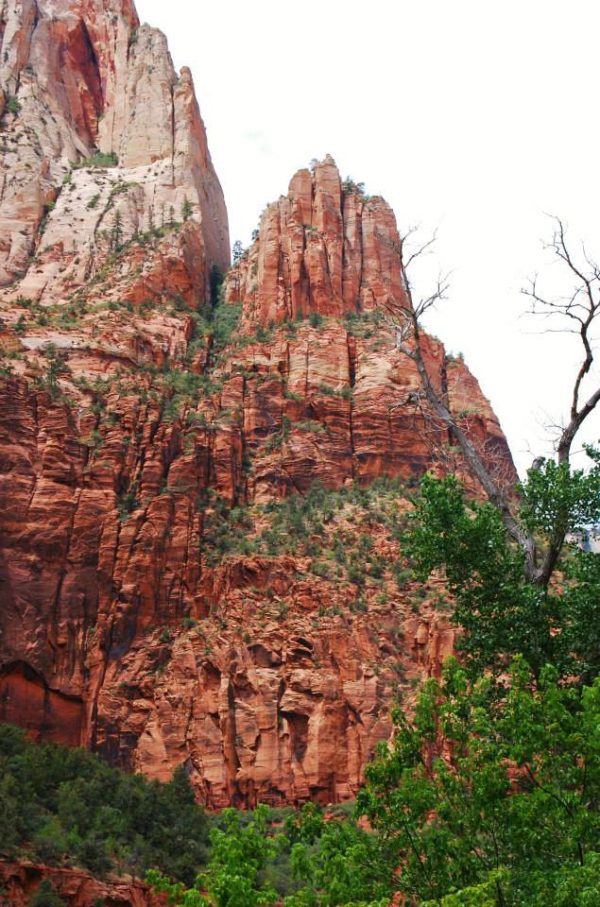 Zion Canyon Shuttle Bus – Zion National Park – Springdale, Utah – 07/04 ...