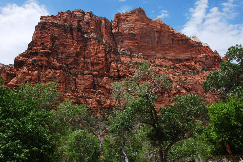 Zion Canyon Shuttle Bus – Zion National Park – Springdale, Utah – 07/04 ...
