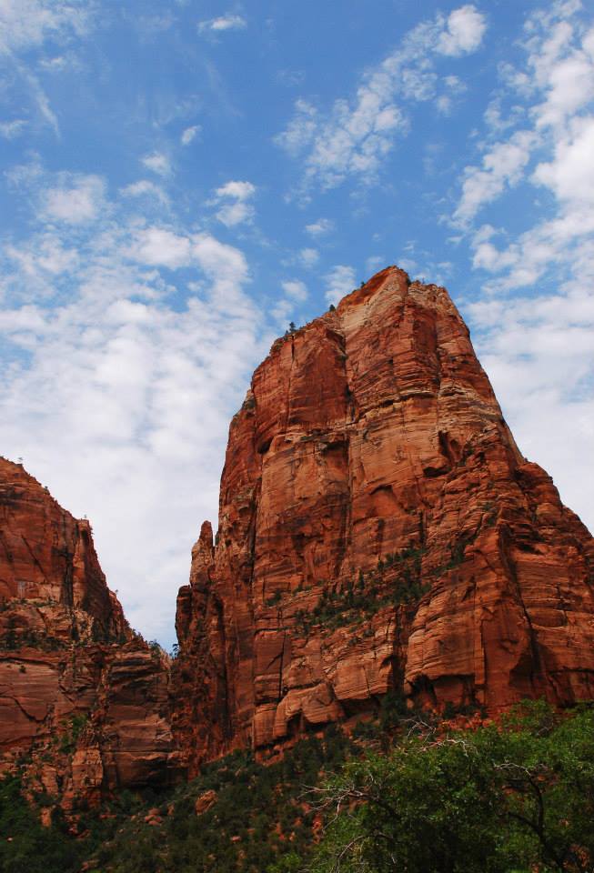 Zion Canyon Shuttle Bus – Zion National Park – Springdale, Utah – 07/04 ...