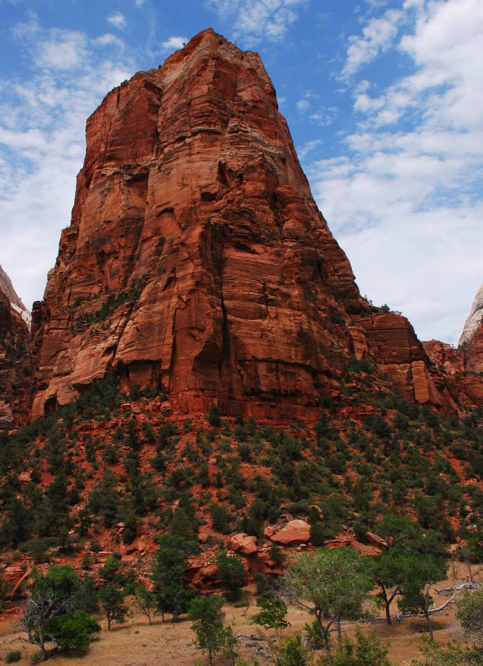 Zion Canyon Shuttle Bus – Zion National Park – Springdale, Utah – 07/04 ...