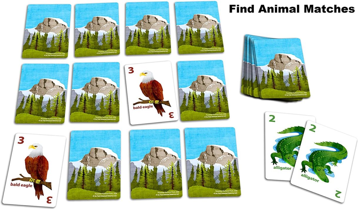 The Ultimate Junior Ranger Starter Pack and Supply List! – SPG Family ...