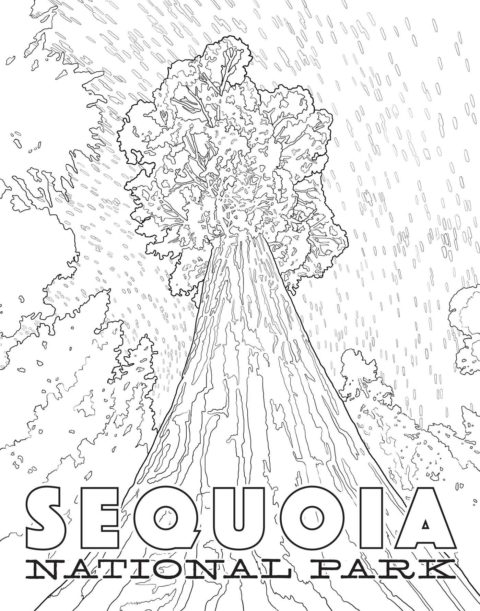 National Park Coloring Books – Great for Both Junior and Not-So-Junior ...