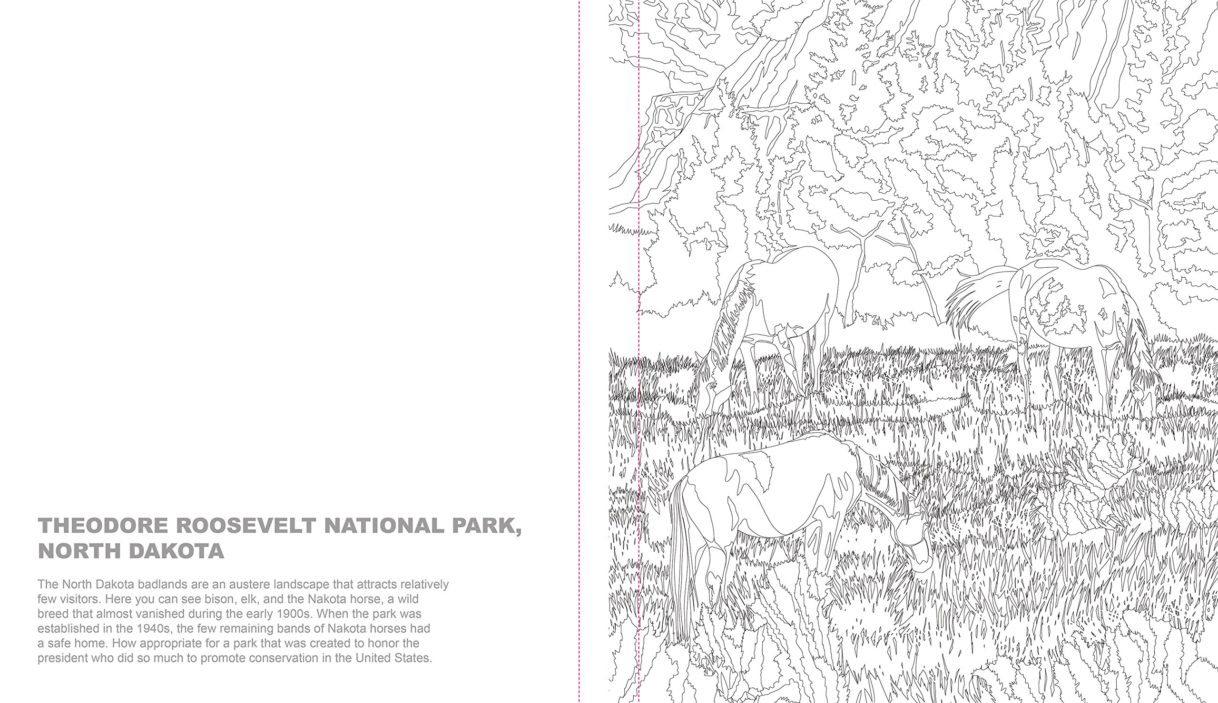 National Park Coloring Books – Great for Both Junior and Not-So-Junior ...