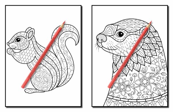 National Park Coloring Books – Great for Both Junior and Not-So-Junior ...