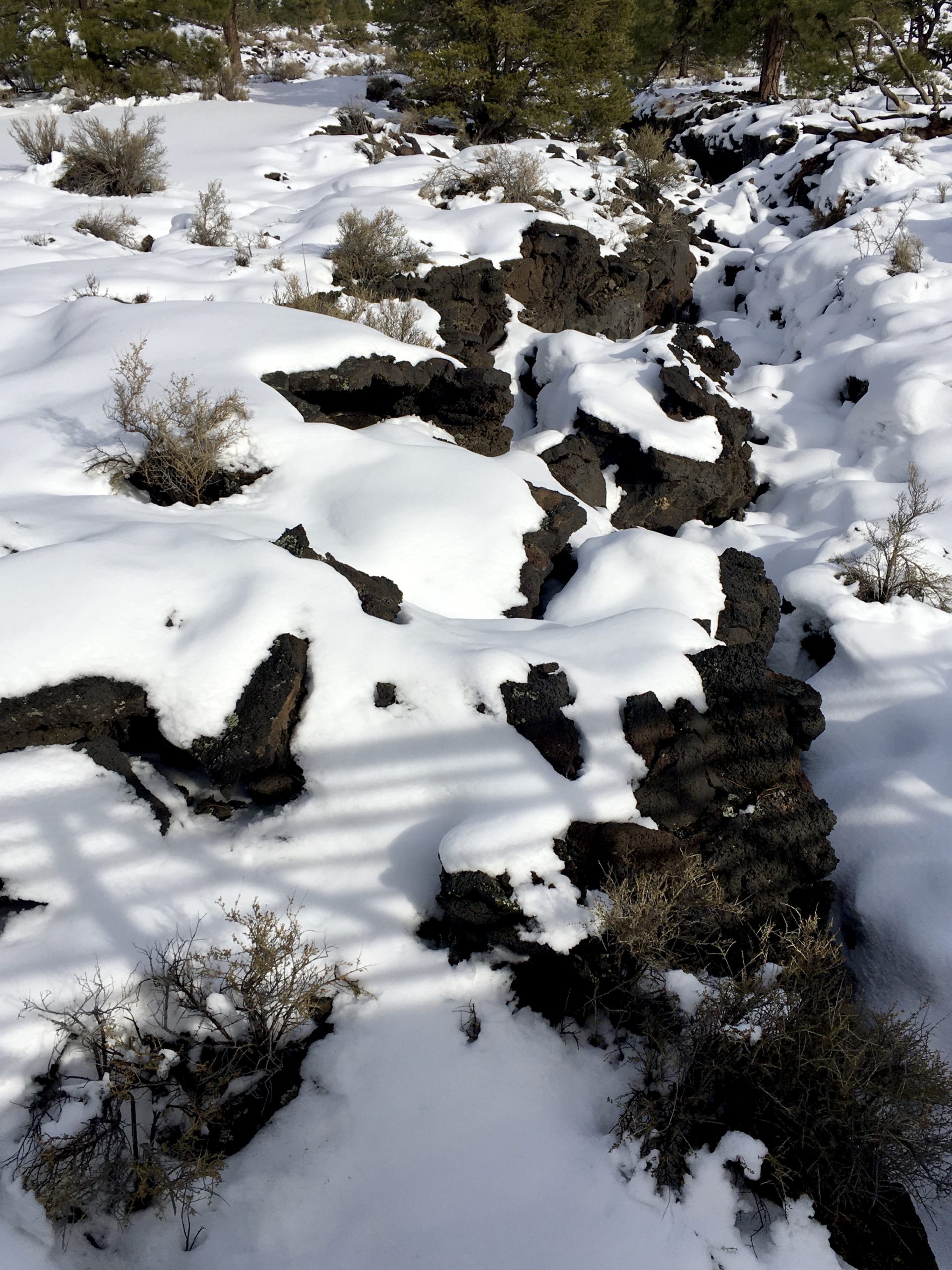 Throwing Snowballs on the Lava Flow Trail – Sunset Crater Volcano ...