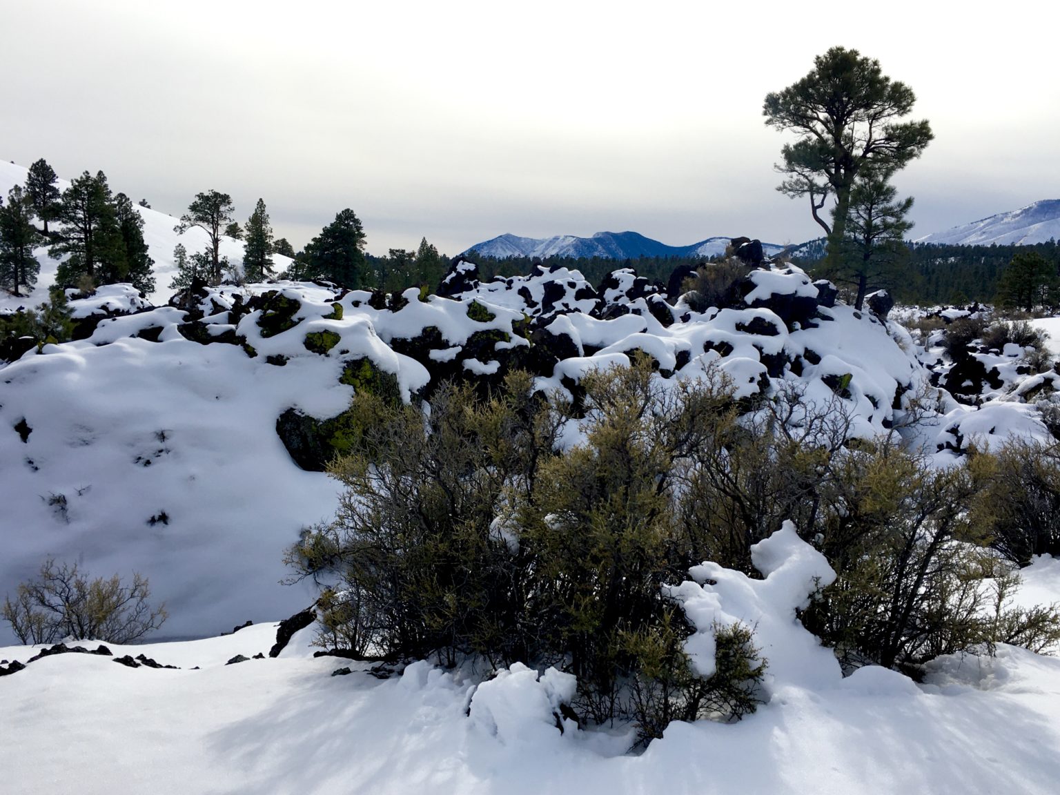 Throwing Snowballs on the Lava Flow Trail – Sunset Crater Volcano ...