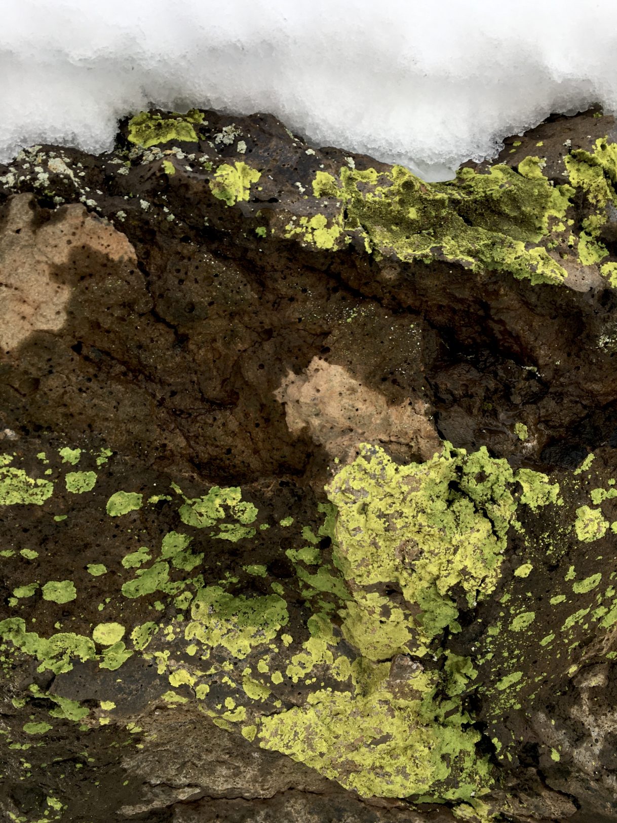 Throwing Snowballs on the Lava Flow Trail – Sunset Crater Volcano ...