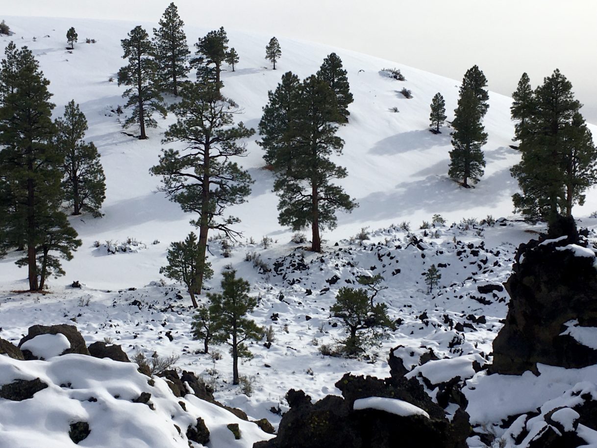 Throwing Snowballs on the Lava Flow Trail – Sunset Crater Volcano ...