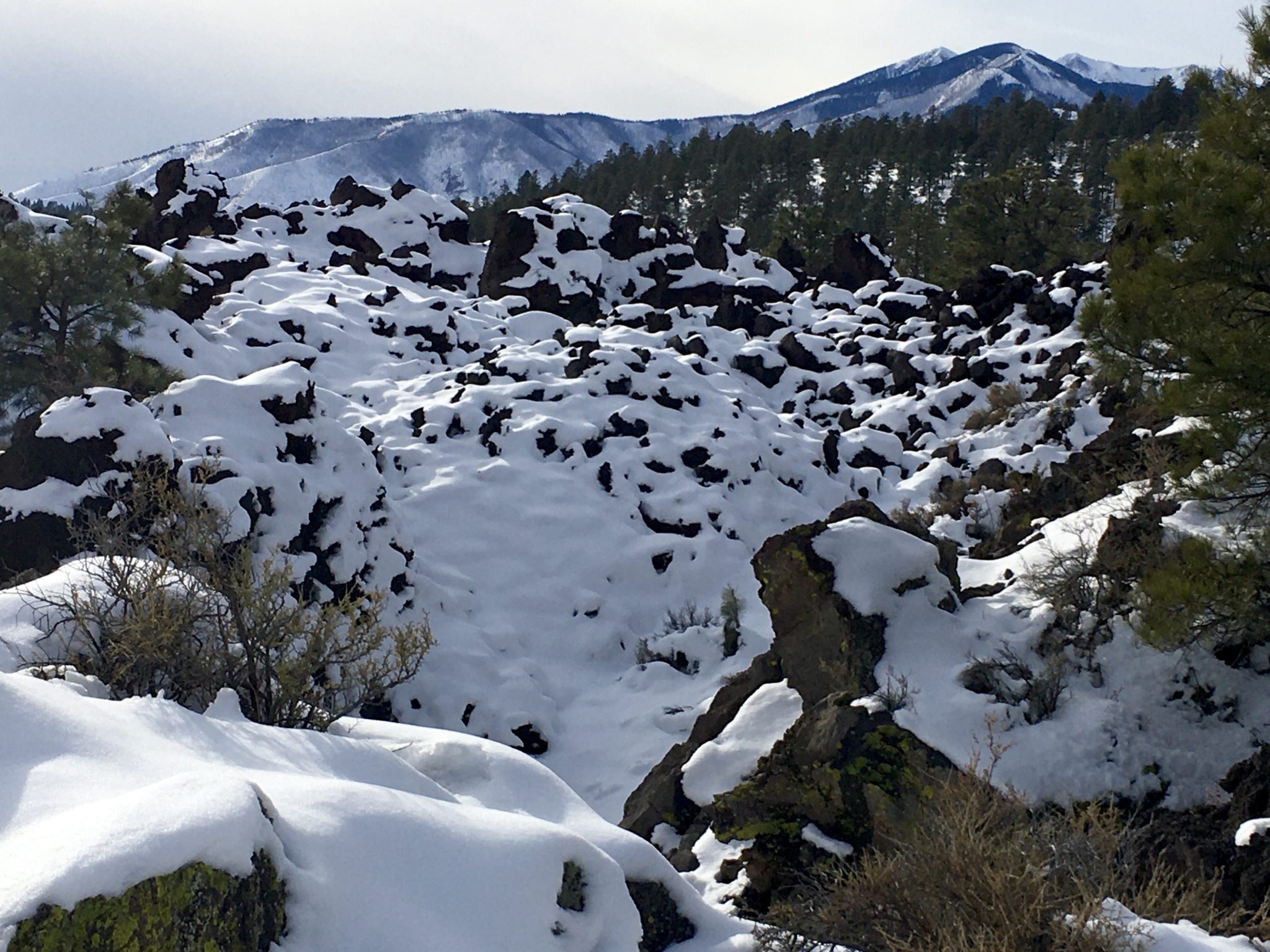 Throwing Snowballs on the Lava Flow Trail – Sunset Crater Volcano ...