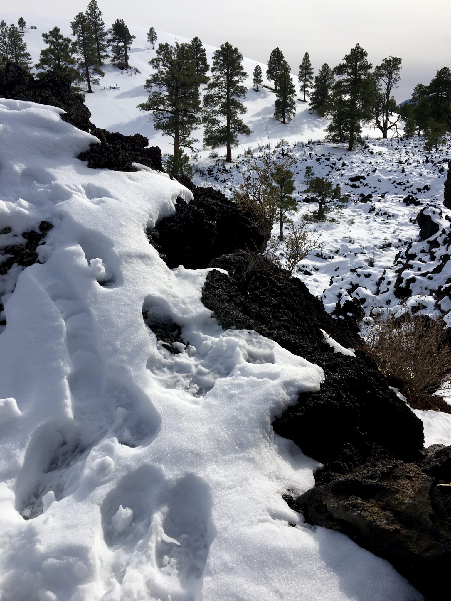 Throwing Snowballs on the Lava Flow Trail – Sunset Crater Volcano ...