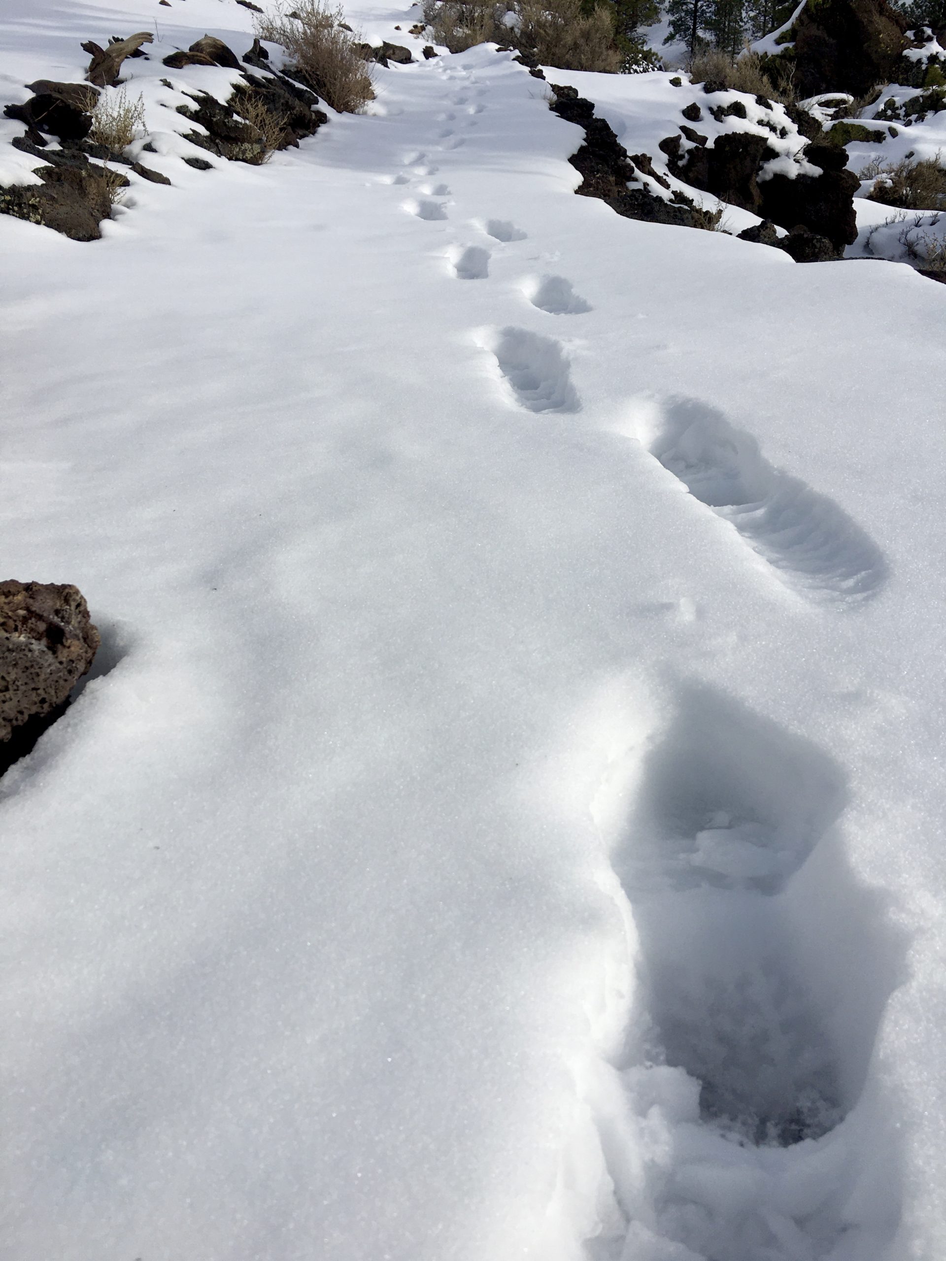 Throwing Snowballs on the Lava Flow Trail – Sunset Crater Volcano ...