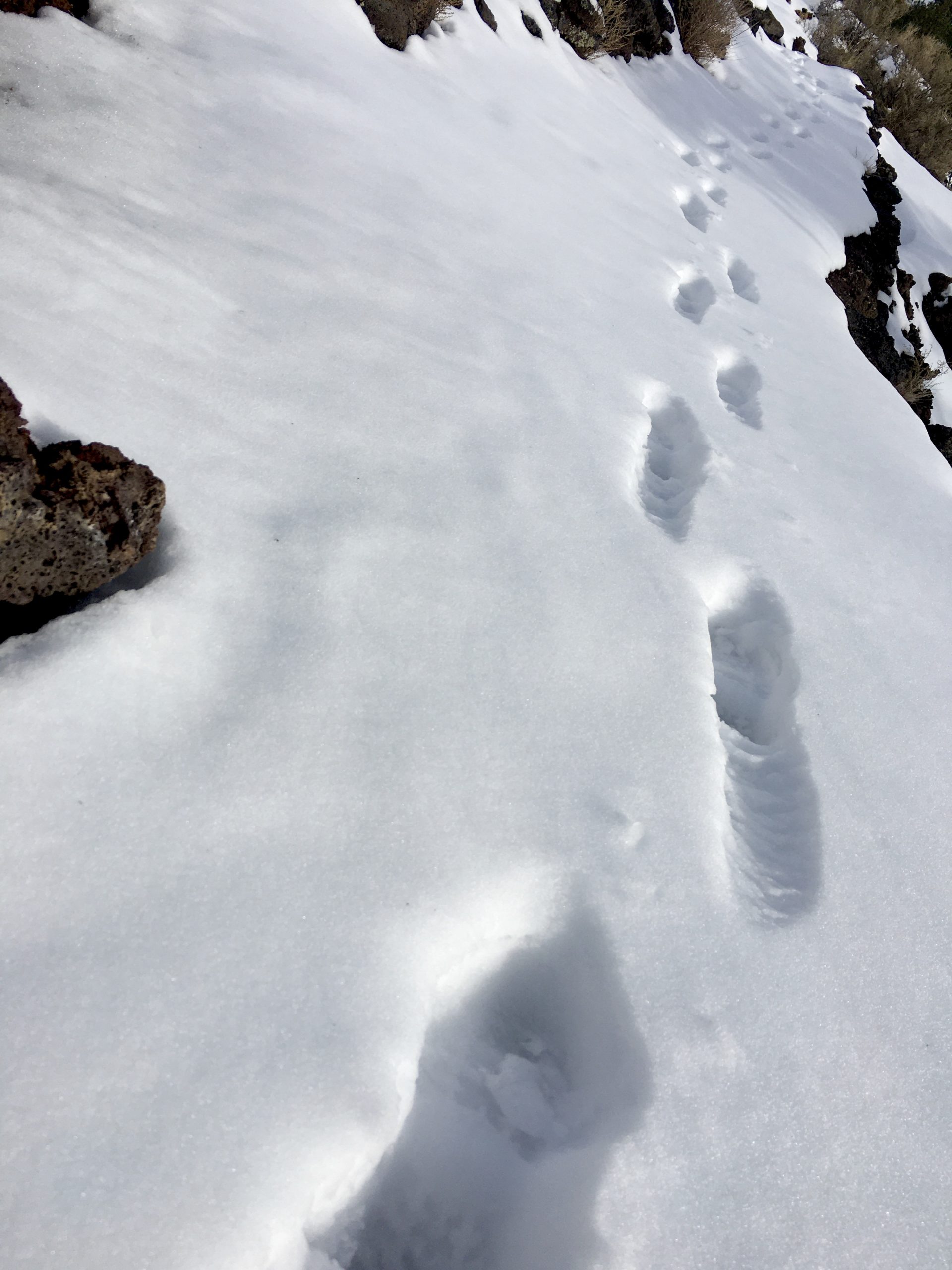 Throwing Snowballs on the Lava Flow Trail – Sunset Crater Volcano ...