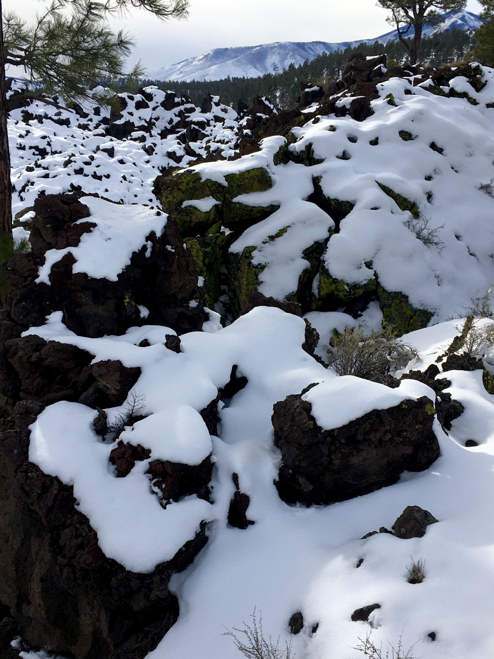 Throwing Snowballs on the Lava Flow Trail – Sunset Crater Volcano ...
