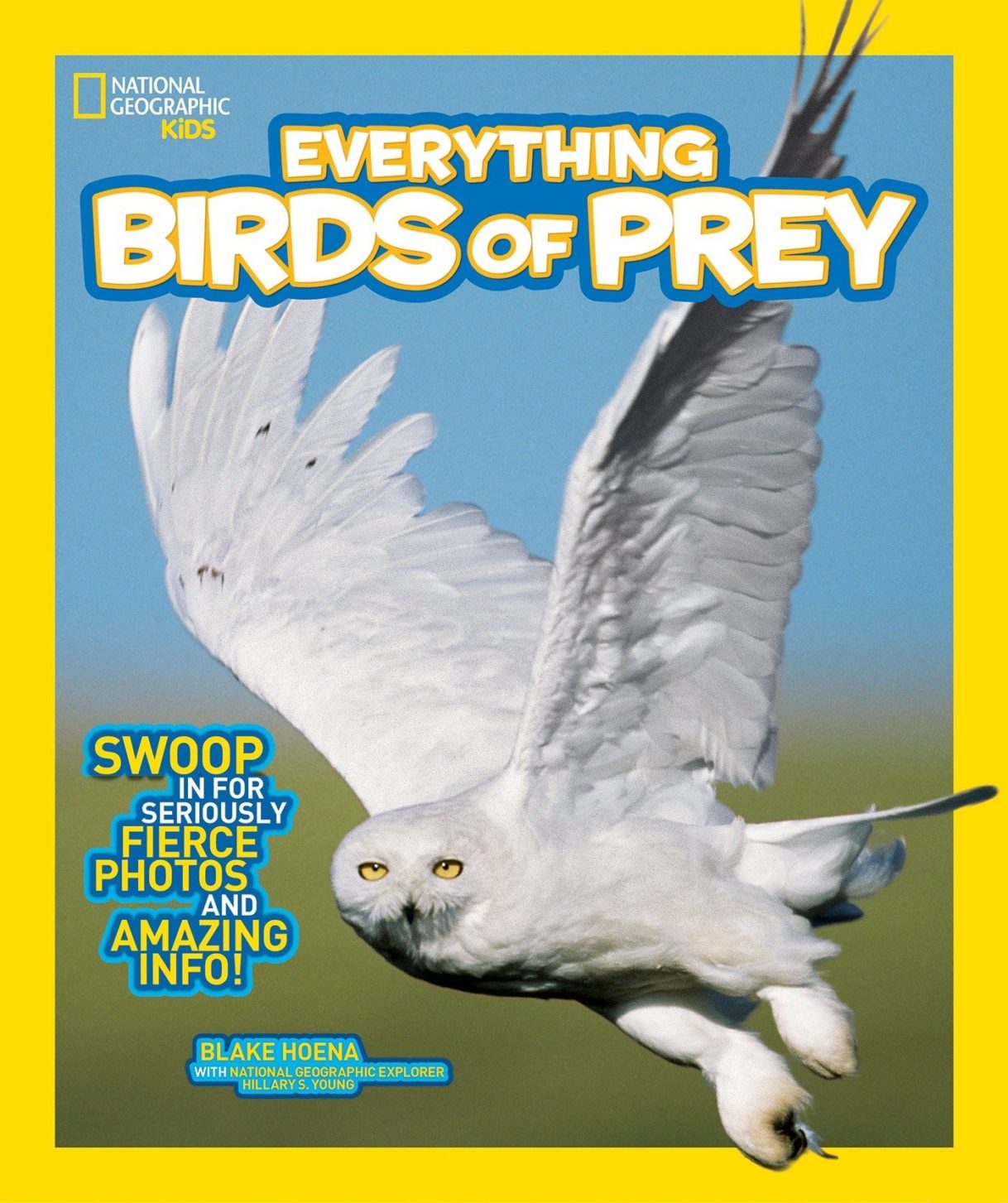 Teaching Science: North American Birds of Prey – SPG Family Adventure ...