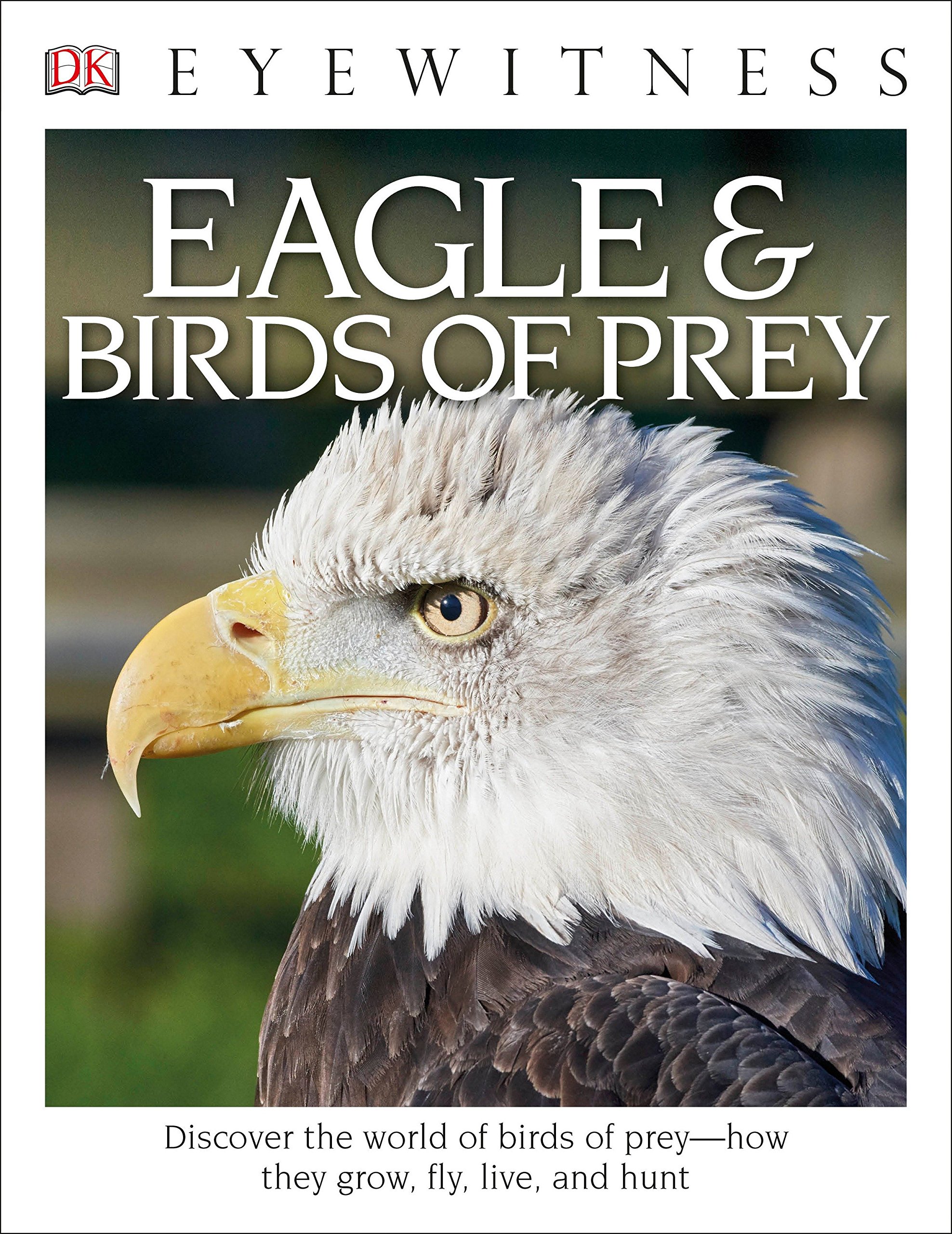 Teaching Science: North American Birds of Prey – SPG Family Adventure ...