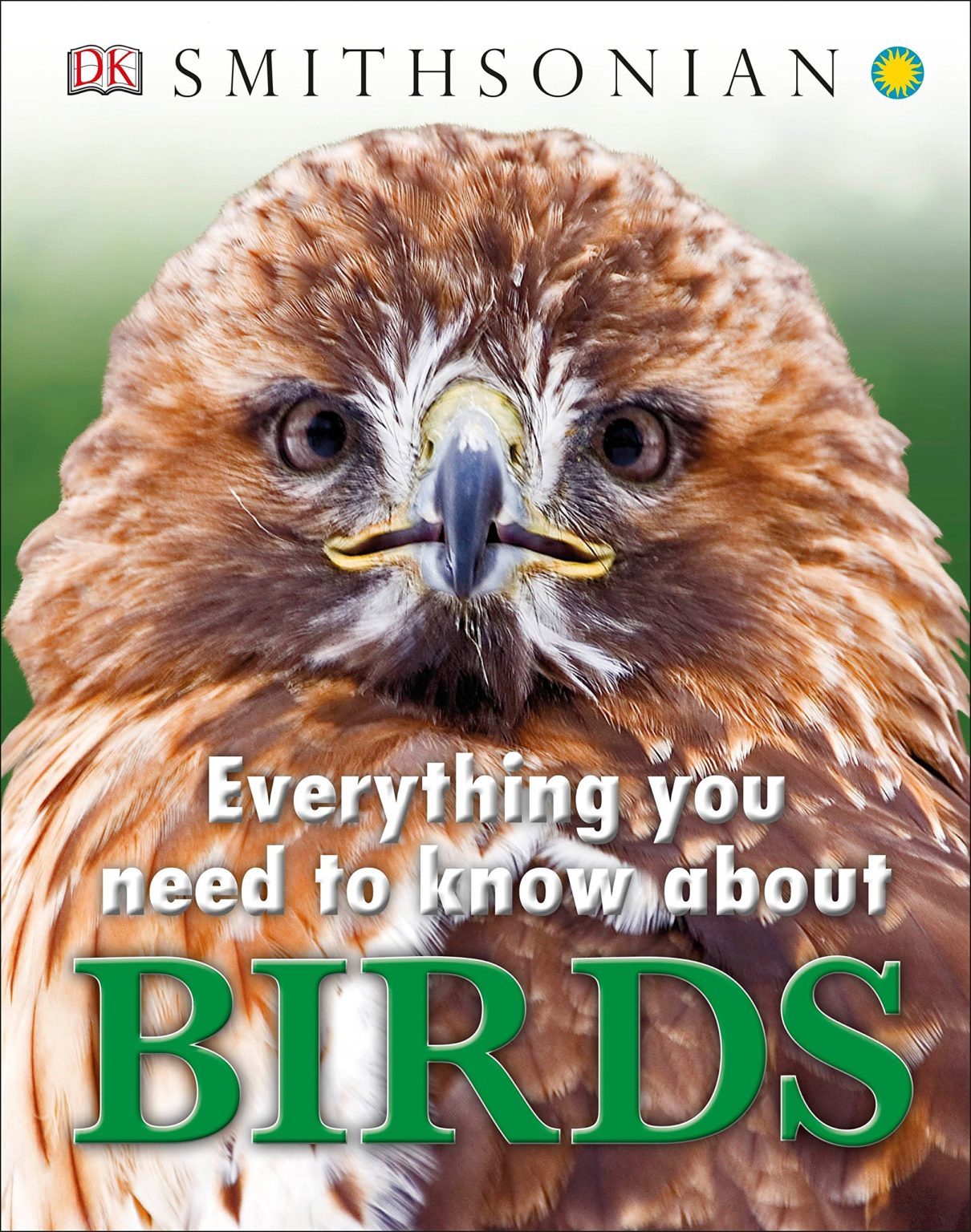 Teaching Science: North American Birds of Prey – SPG Family Adventure ...