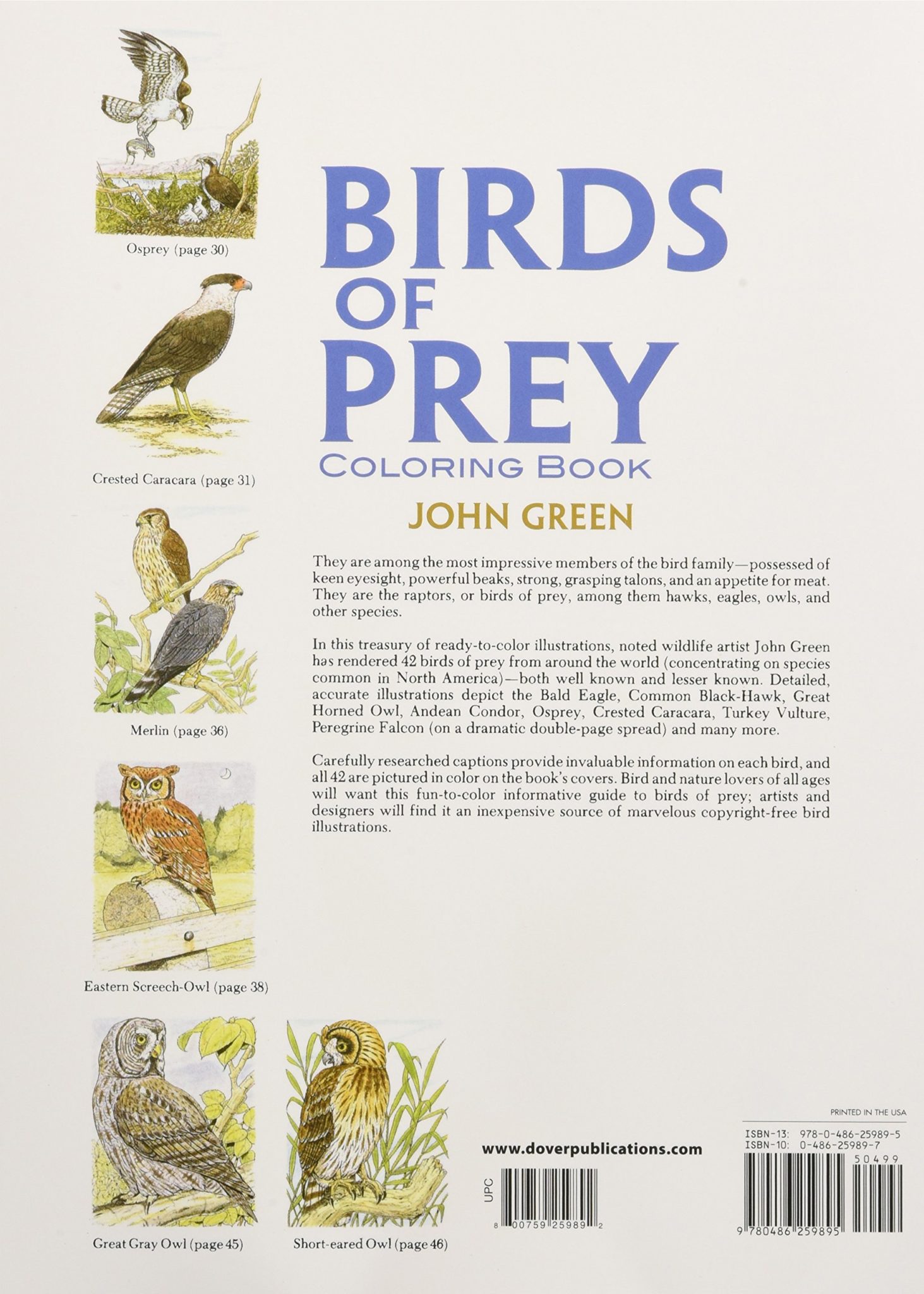 Teaching Science: North American Birds of Prey – SPG Family Adventure ...