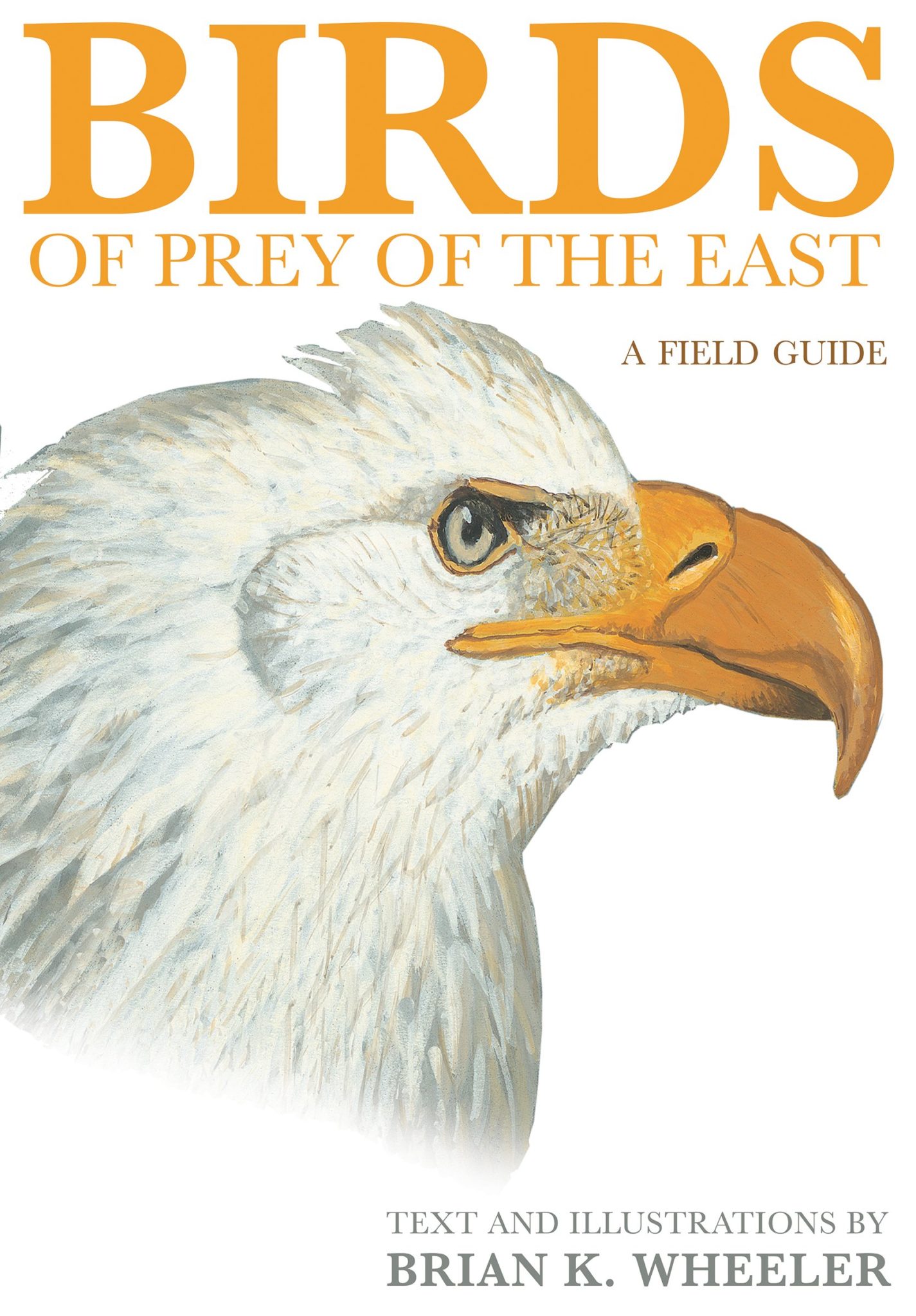 Teaching Science: North American Birds of Prey – SPG Family Adventure ...