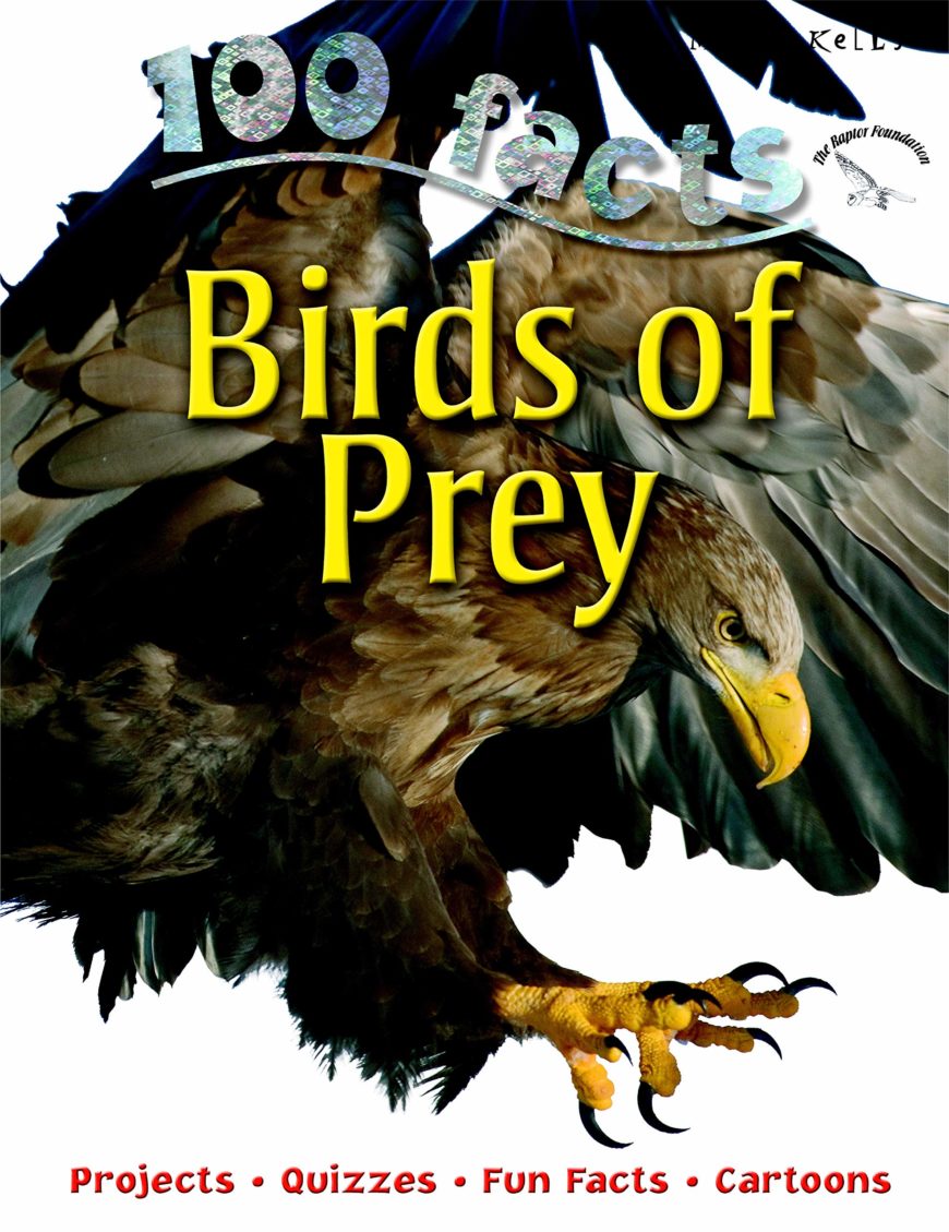 Teaching Science: North American Birds of Prey – SPG Family Adventure ...
