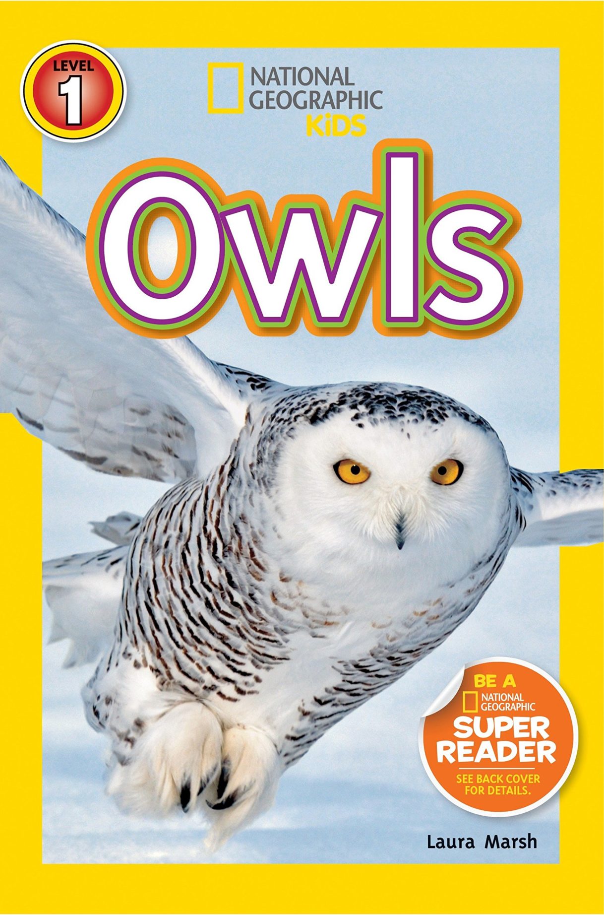 Teaching Science: Owls – SPG Family Adventure Network